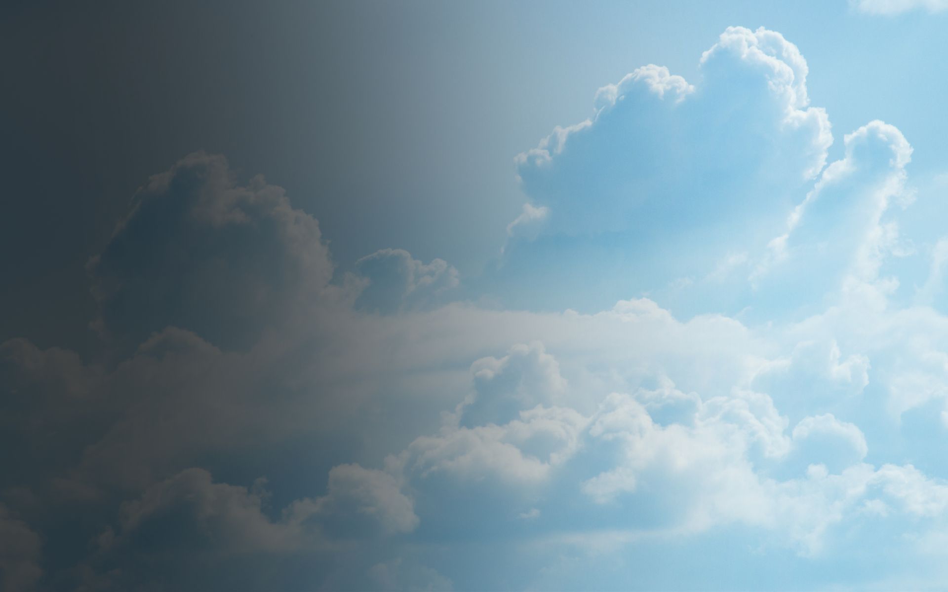 Observability Services