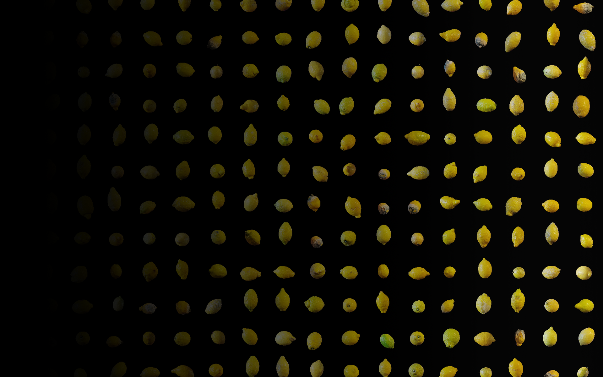 Lemon quality control dataset case study